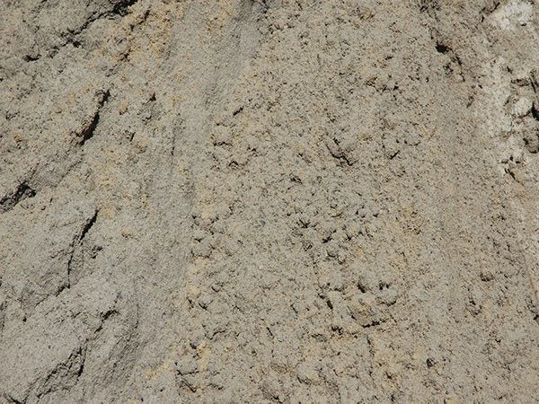 Fill Sand [1 YARD] | Steve's Rock